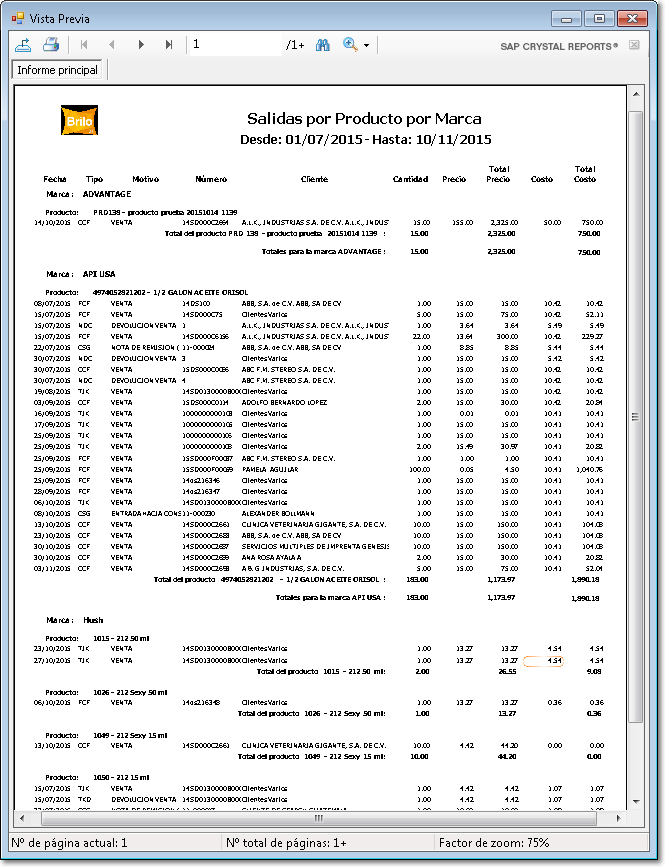 Salidas por Producto por Marca - Brilo ERP Docs